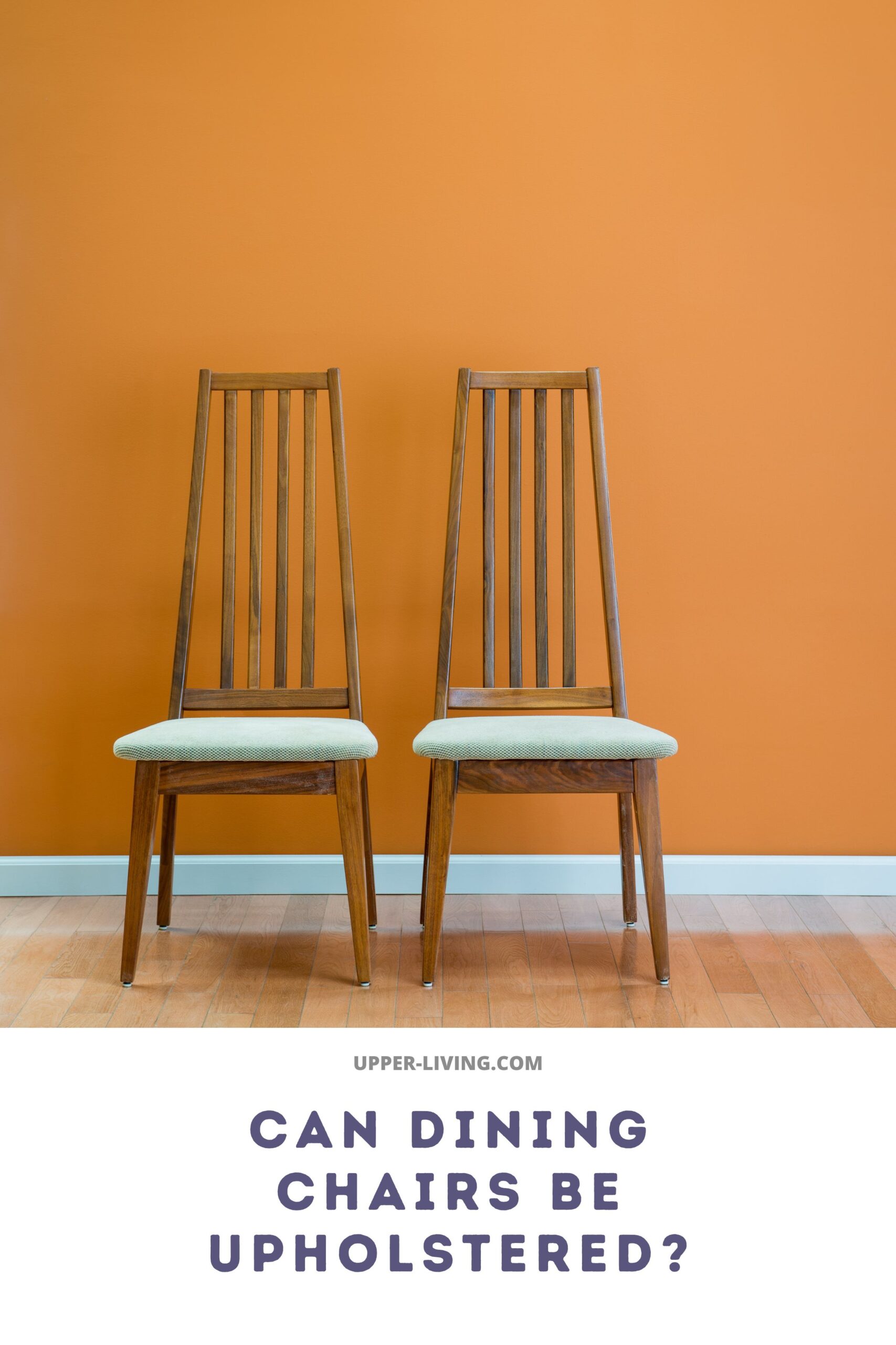 Can Dining Chairs Be Upholstered? – Upper Living